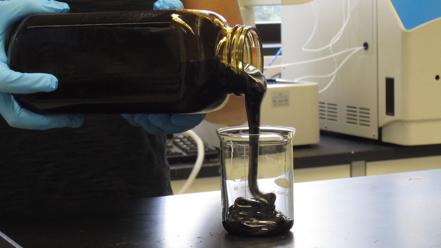 Renewable Fuels and Chemicals from Biomass – Alpha Thermal Process